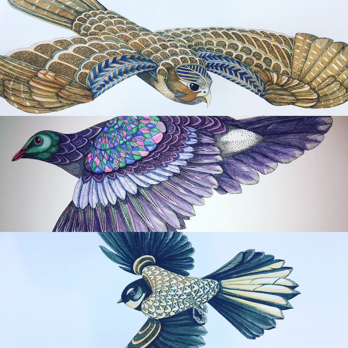 Flying Kereru / Wood Pigeon Print – The Outpost NZ